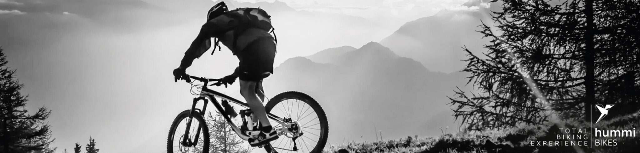 Tienda de Bicicletas en Valencia y Online | Hummi Bikes